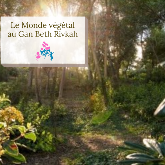 "Voyage autour du monde" au Gan - Paris, capitale de la France